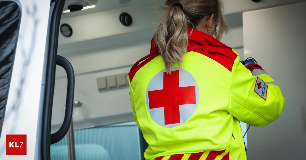 Reh auf der Straße: Kärntner Alko-Lenker landete mit Auto in den Bäumen